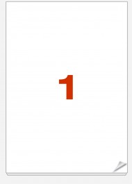 Custom Labels - Zippy Labels